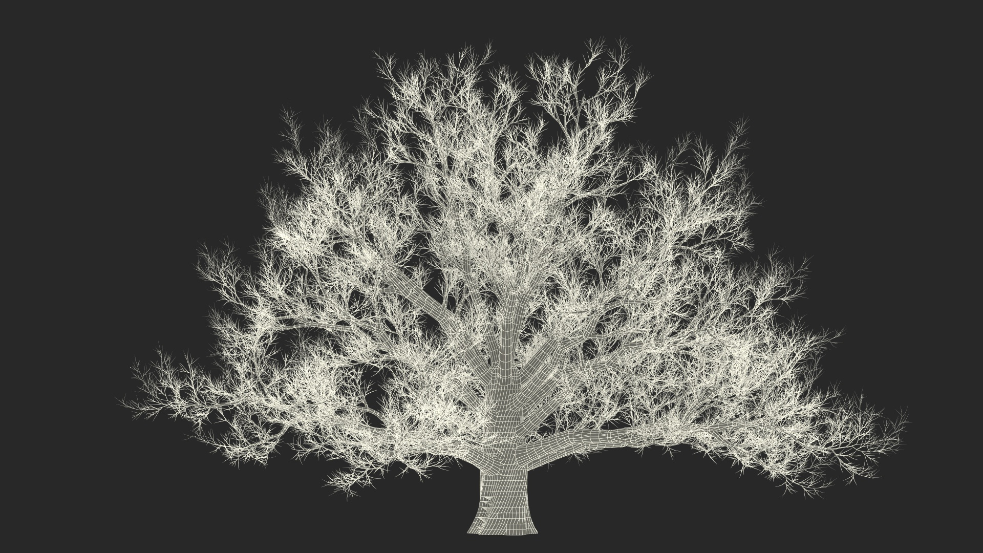 3D Model Realistic Bare Oak Tree - TurboSquid 2201996