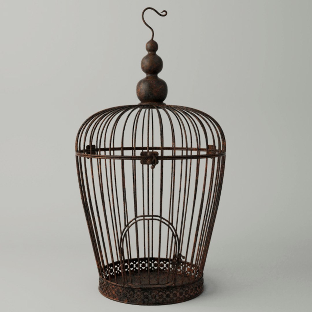 3D Rusted Metal Bird Cage Model - TurboSquid 1197015