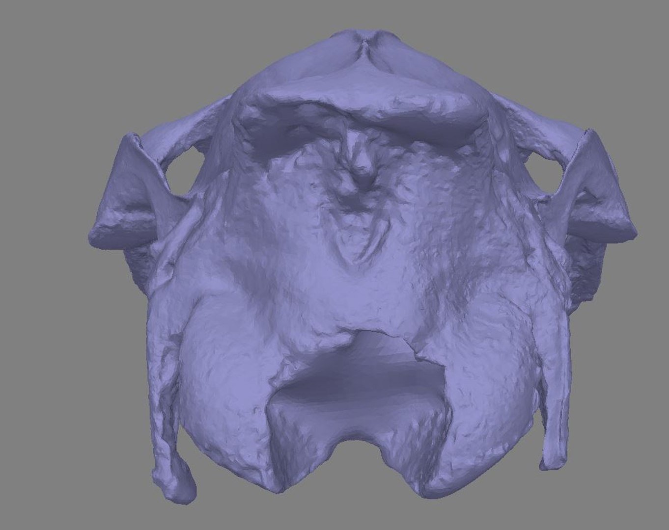 Cow skull scan data 3D model - TurboSquid 1214790