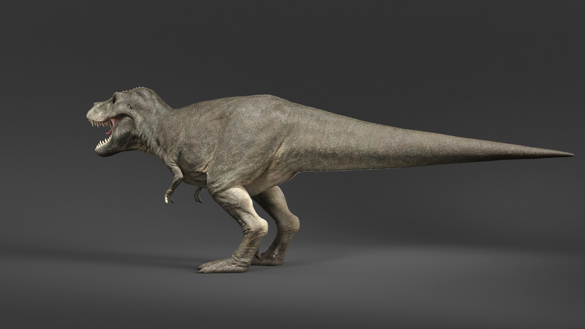 Tyrannosaurus Rig Rex 3D Model - TurboSquid 1507641