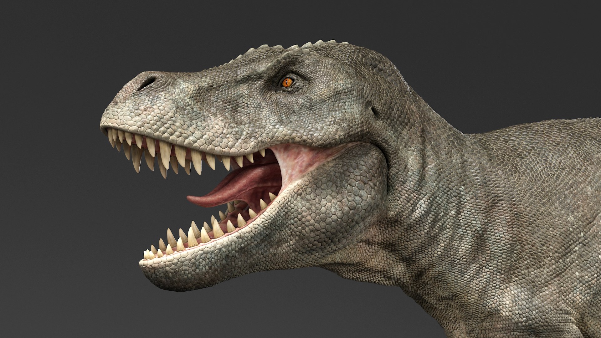 Tyrannosaurus Rig Rex 3D Model - TurboSquid 1507641