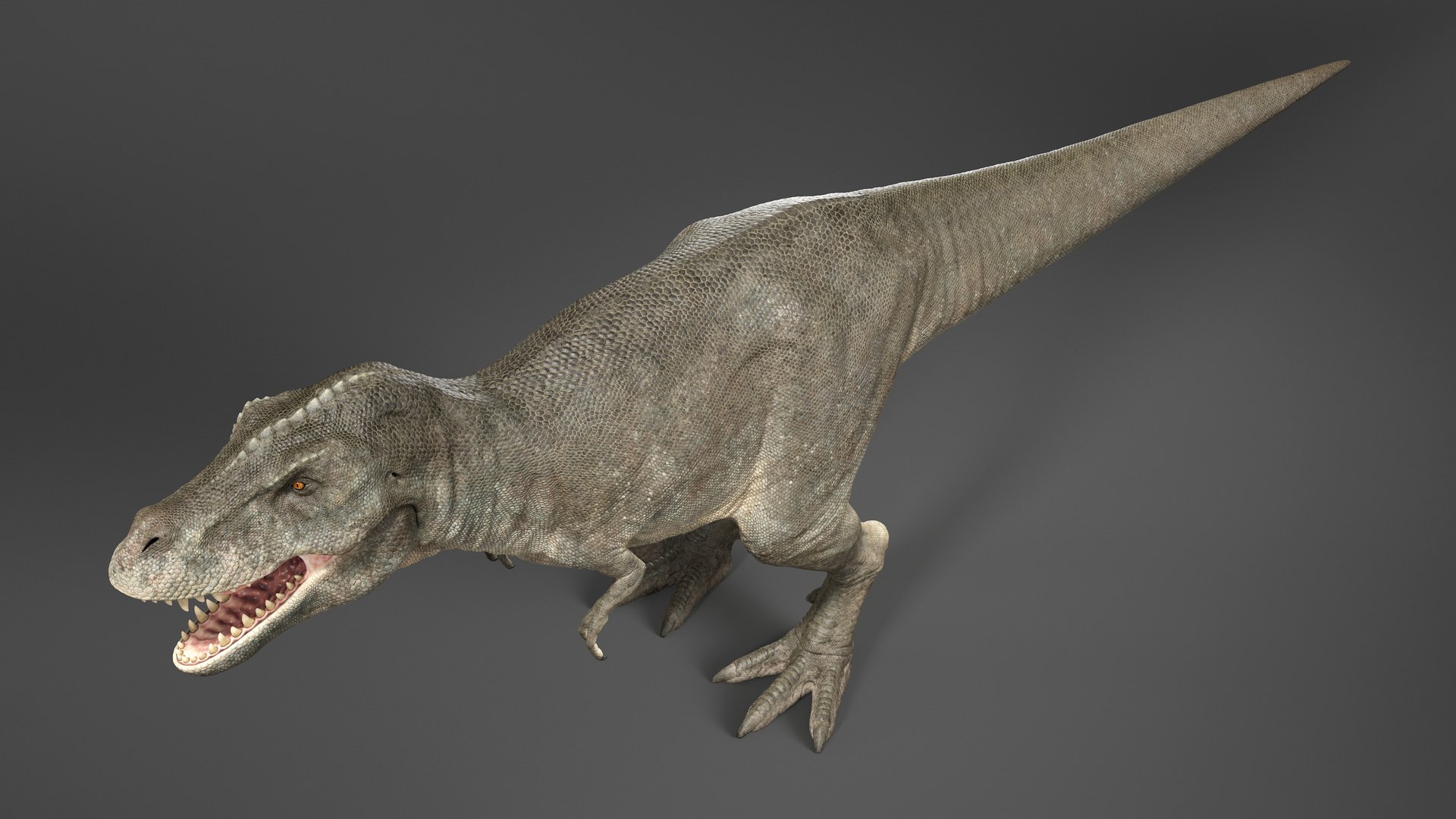 Tyrannosaurus Rig Rex 3D Model - TurboSquid 1507641