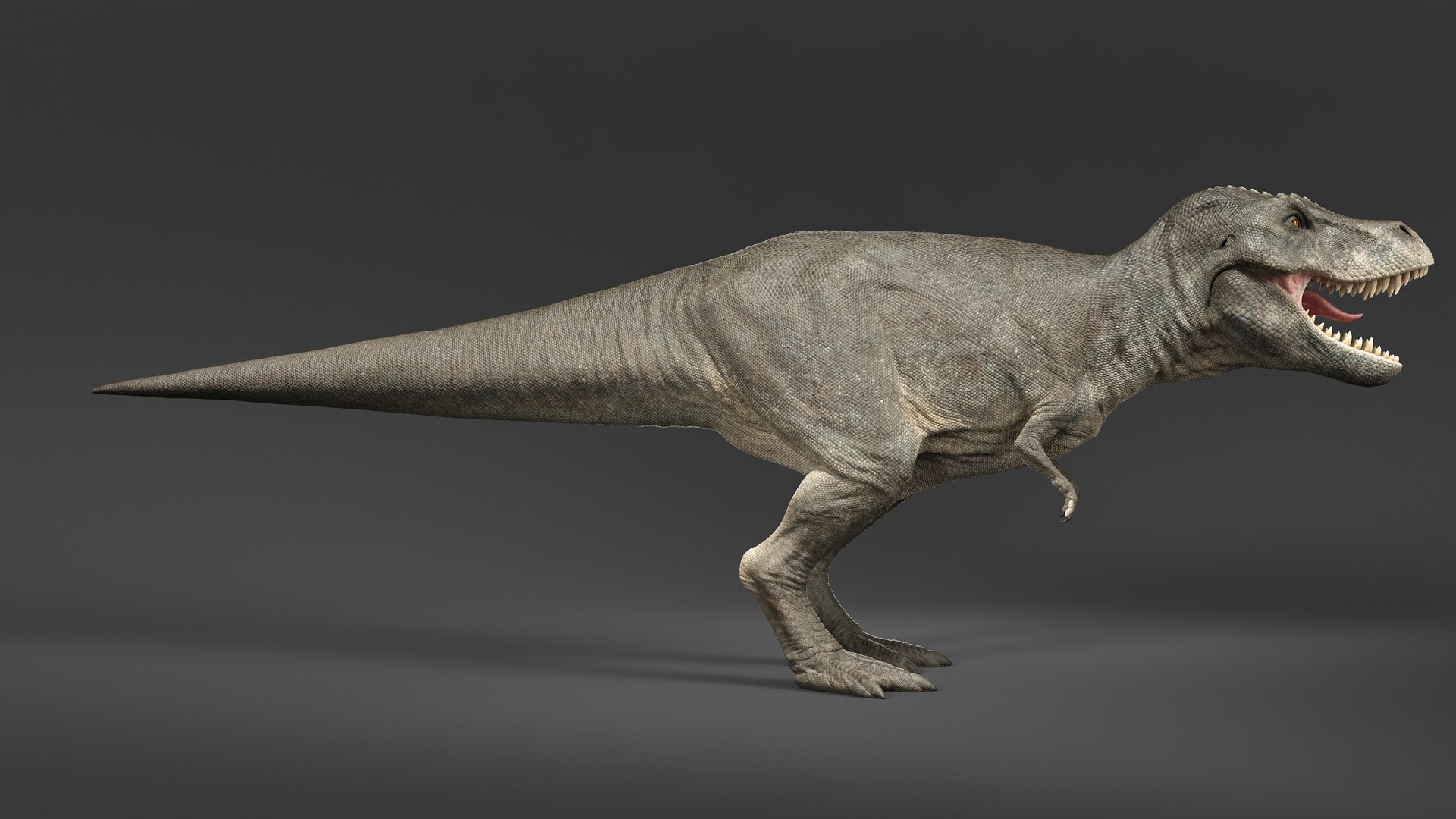 Tyrannosaurus Rig Rex 3D Model - TurboSquid 1507641
