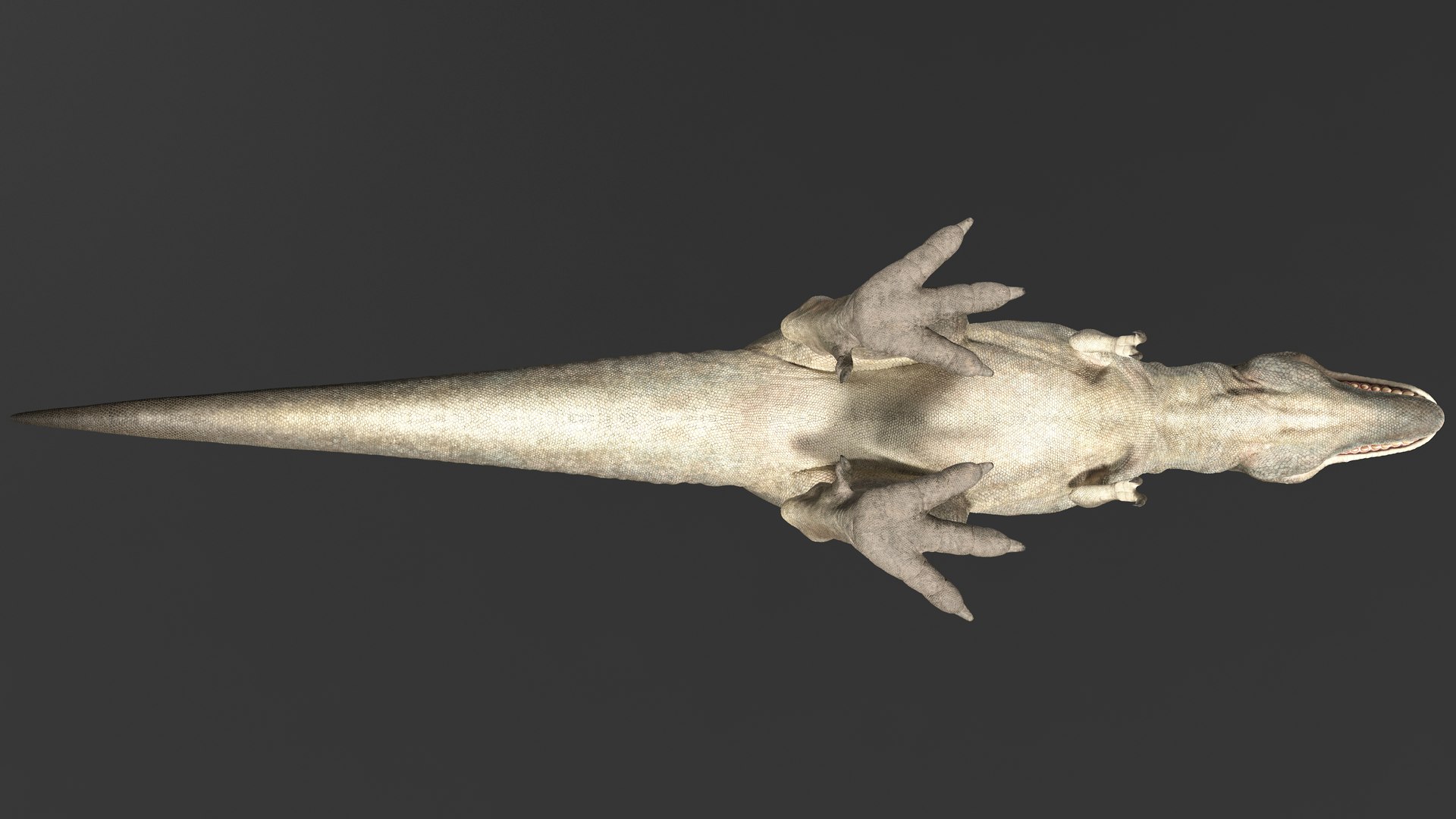 Tyrannosaurus rig rex 3D model - TurboSquid 1507641