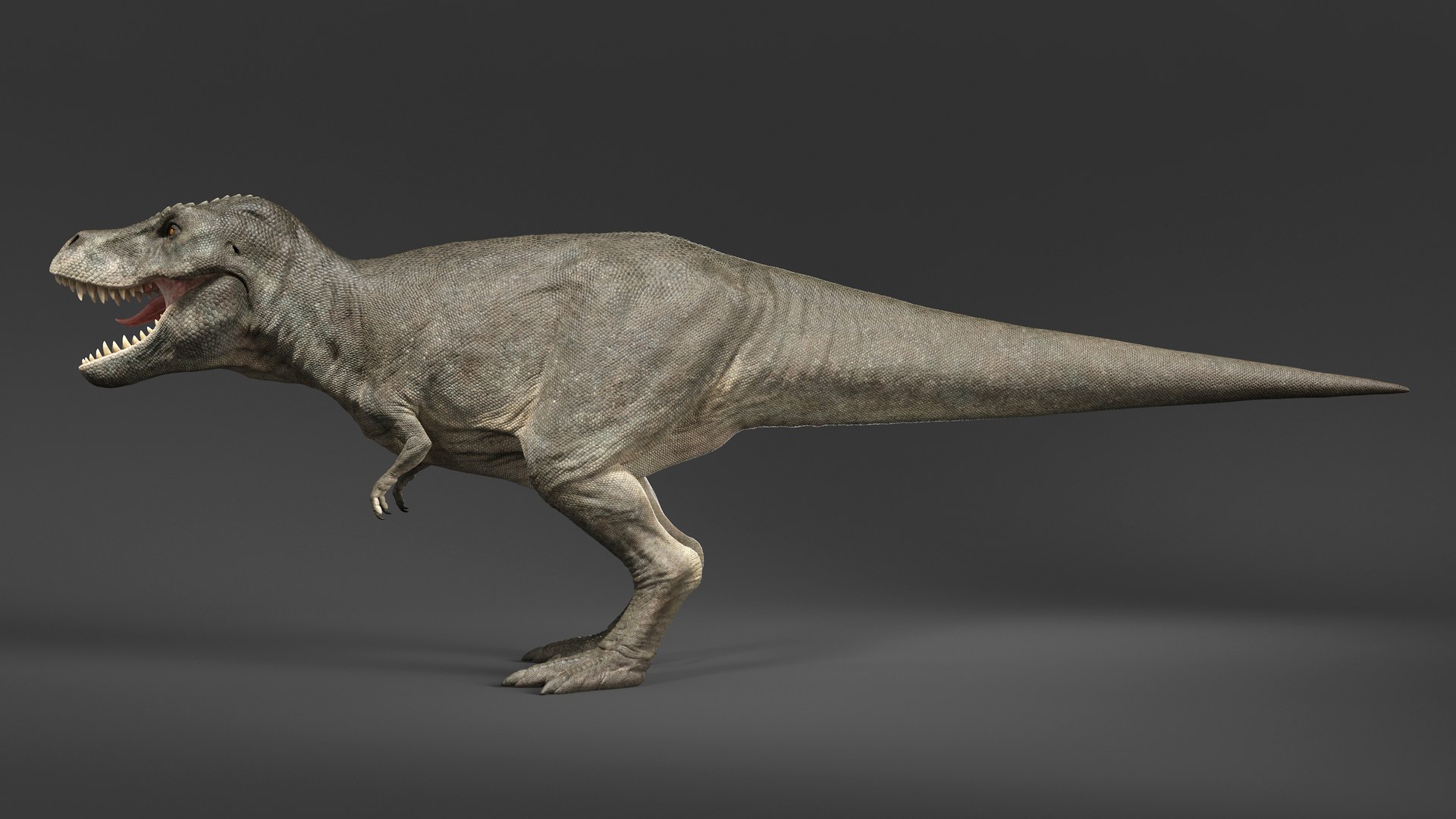 Tyrannosaurus Rig Rex 3D Model - TurboSquid 1507641