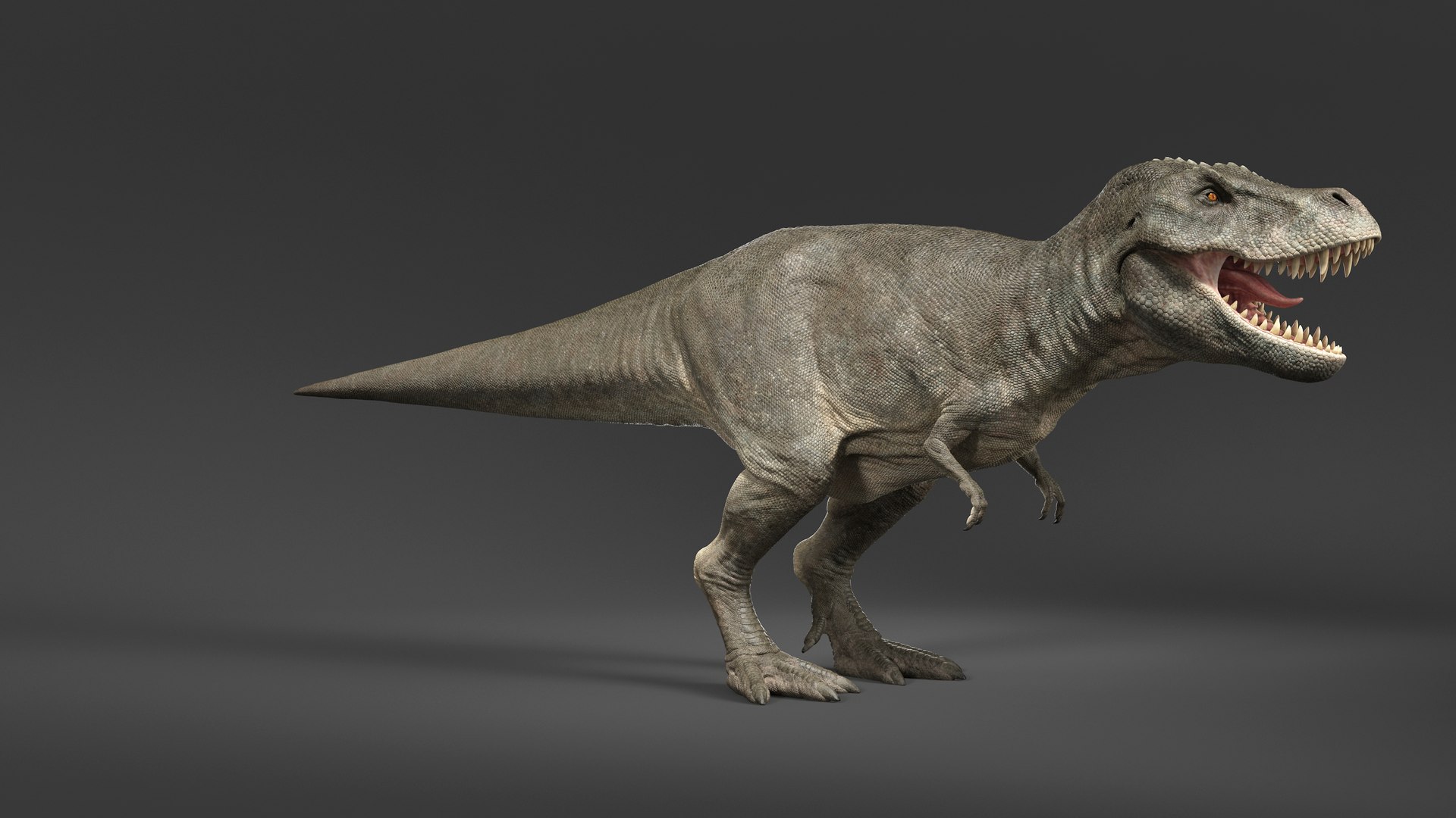 Tyrannosaurus Rig Rex 3D Model - TurboSquid 1507641