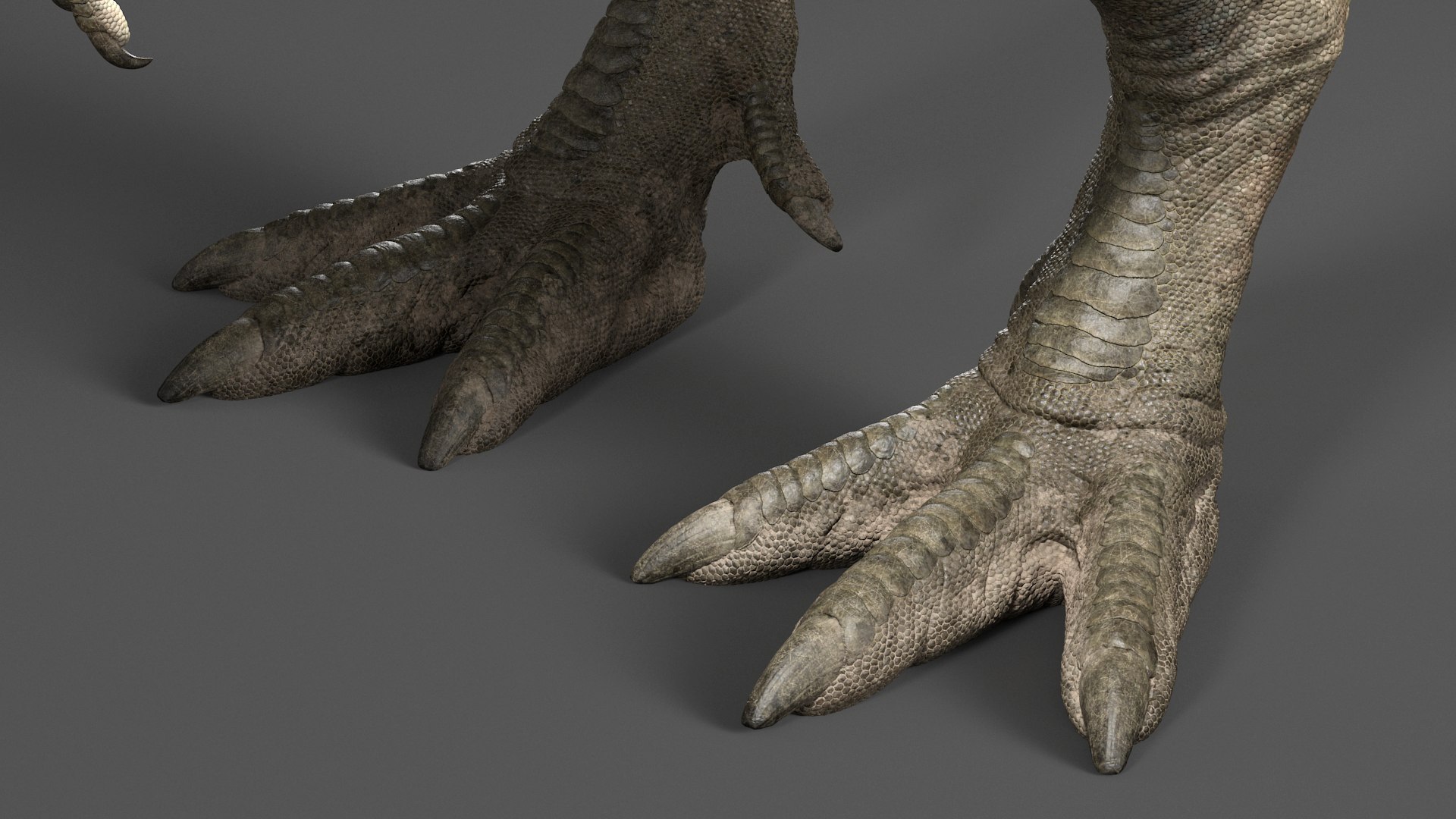 Tyrannosaurus rig rex 3D model - TurboSquid 1507641