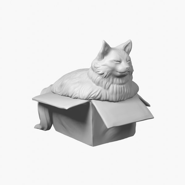 Fat cat in box model for 3D printing3Dモデル - TurboSquid 1999048