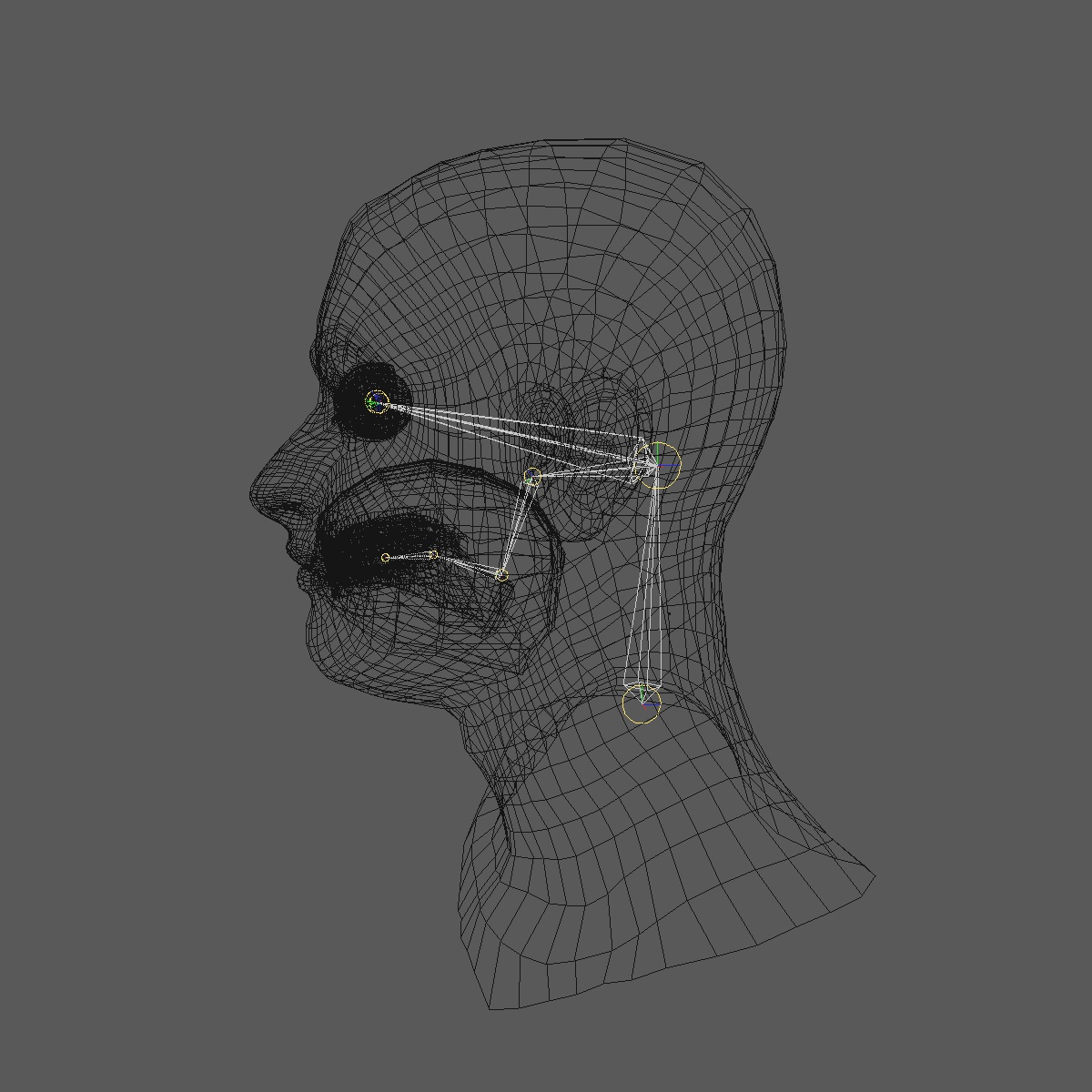 3d model of realistic head base mesh