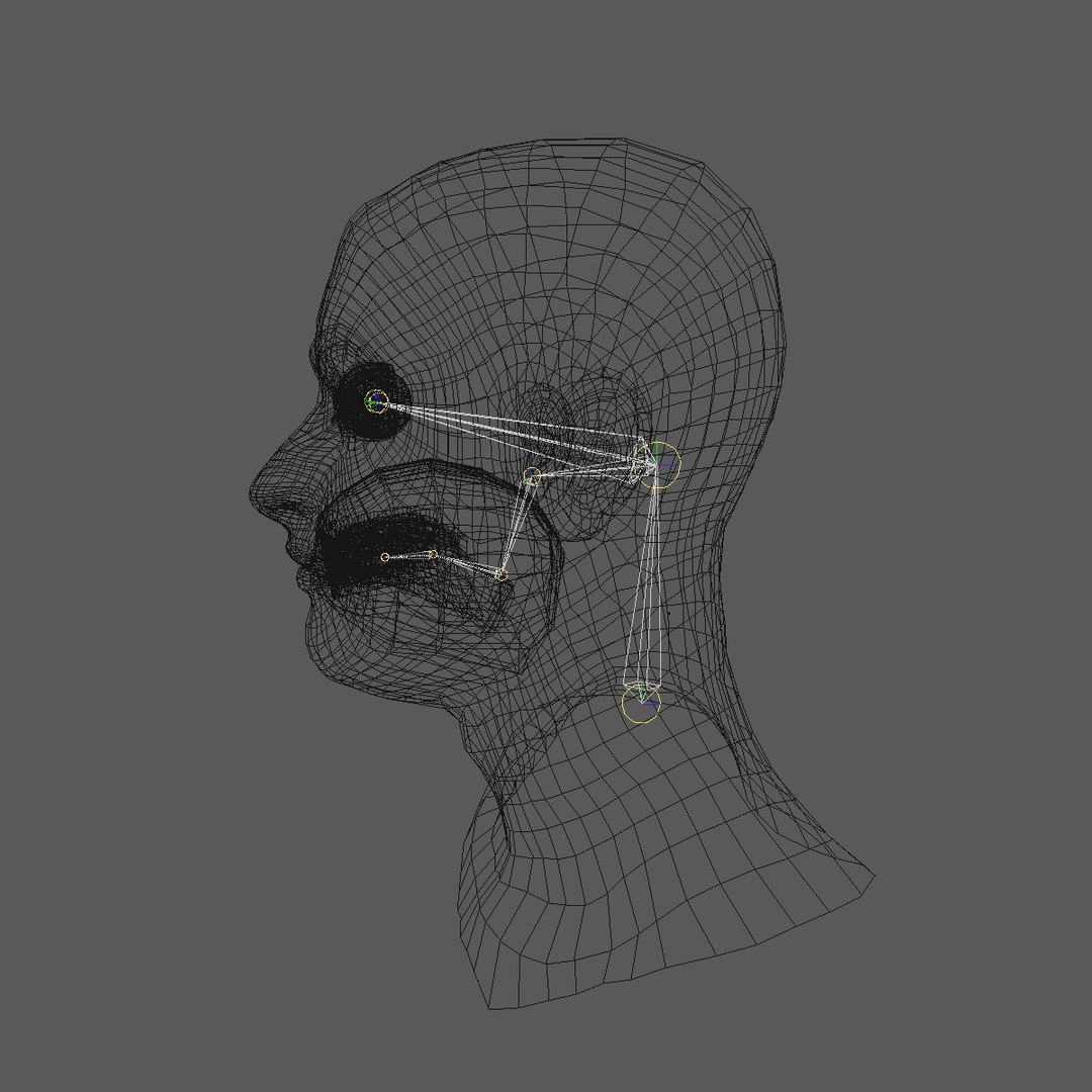3d Model Of Realistic Head Base Mesh