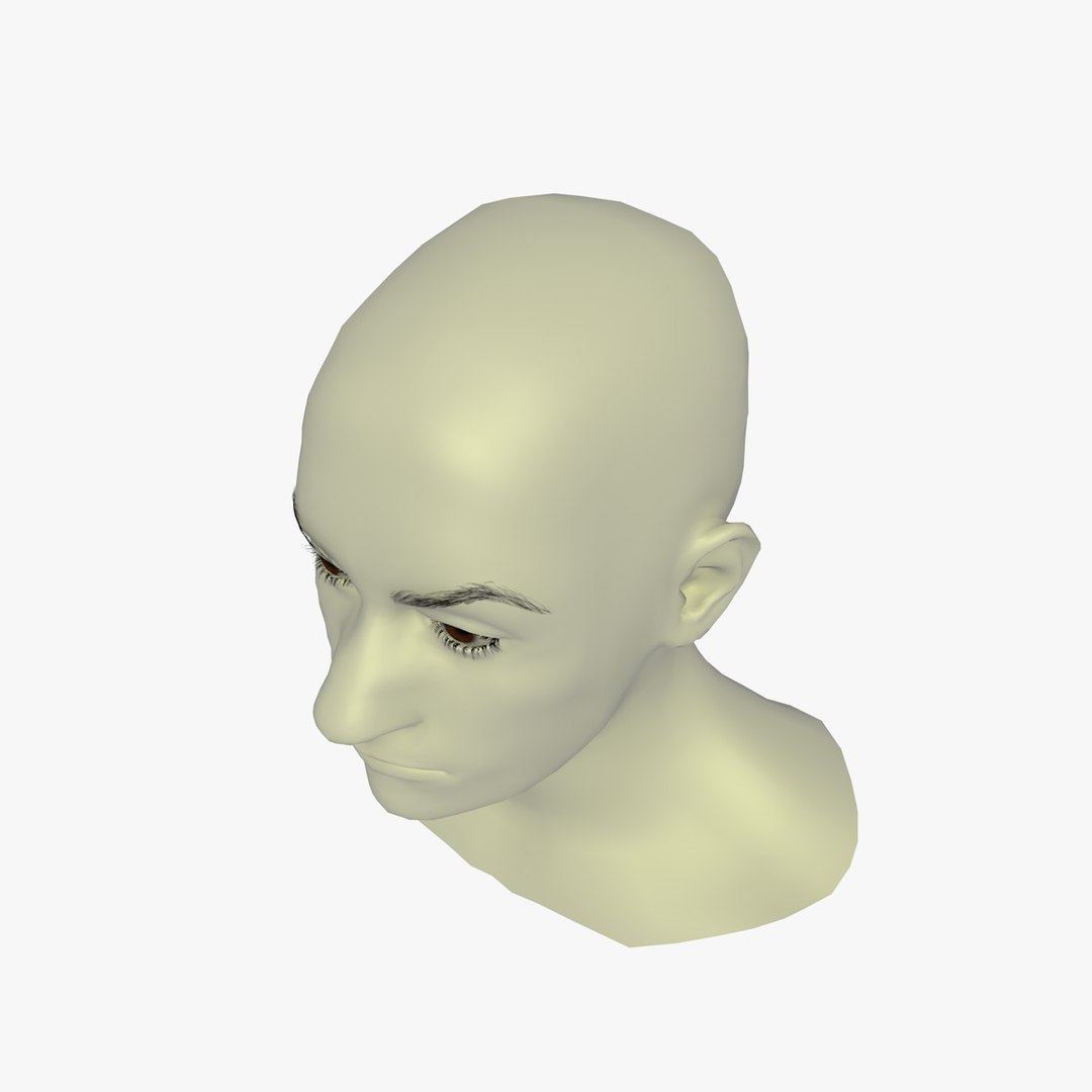 3d Model Of Realistic Head Base Mesh