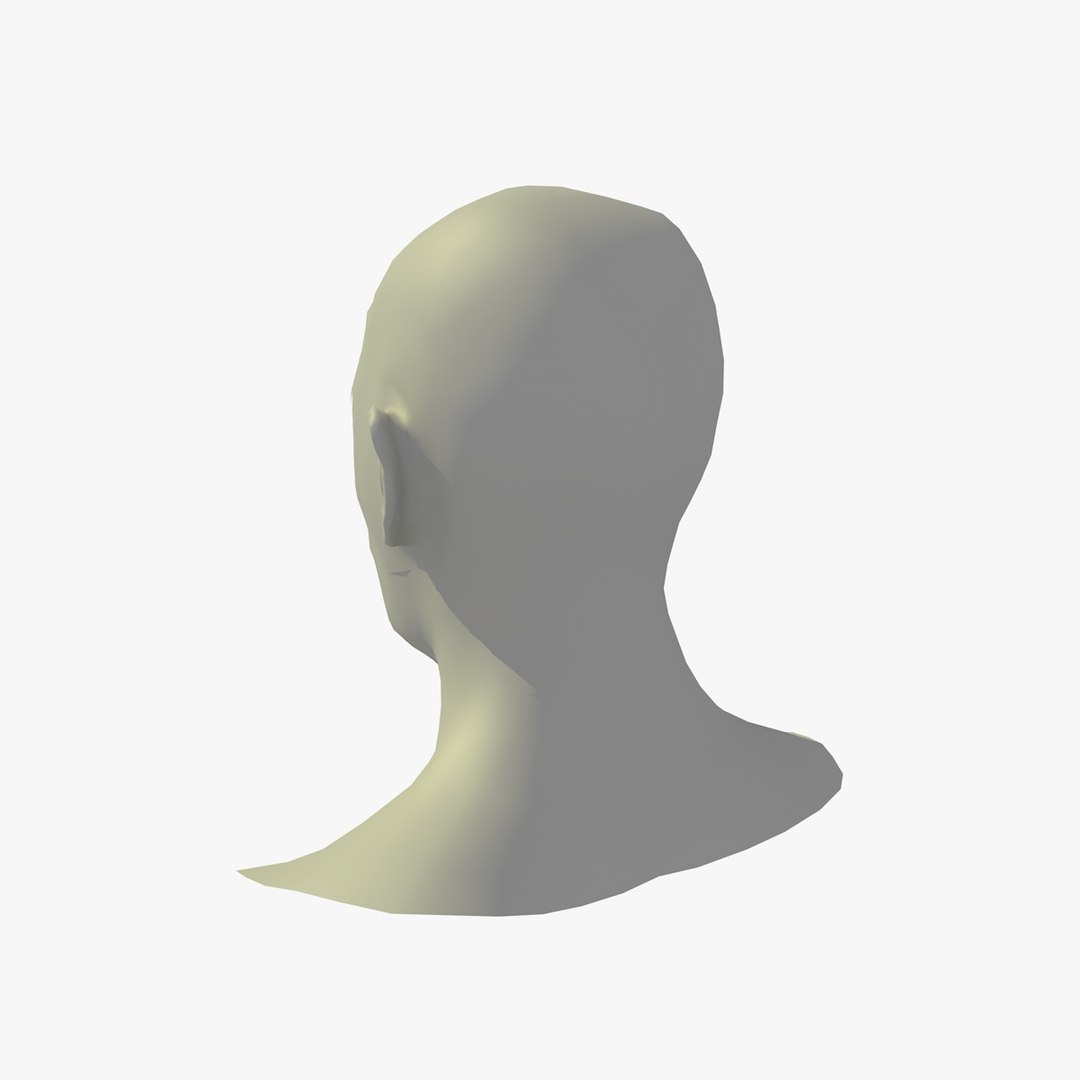 3d Model Of Realistic Head Base Mesh