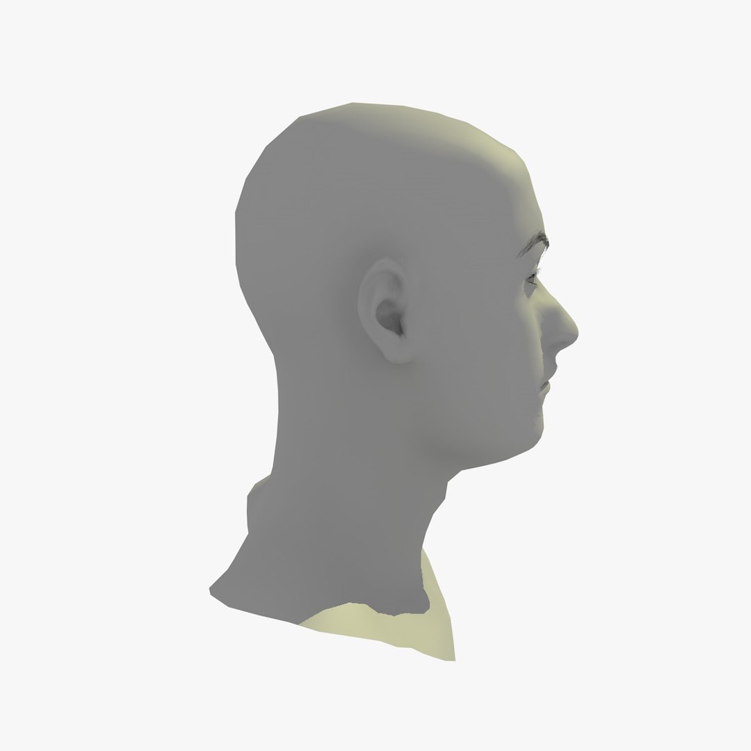 3d Model Of Realistic Head Base Mesh