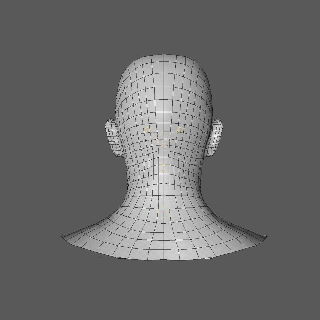 3d Model Of Realistic Head Base Mesh