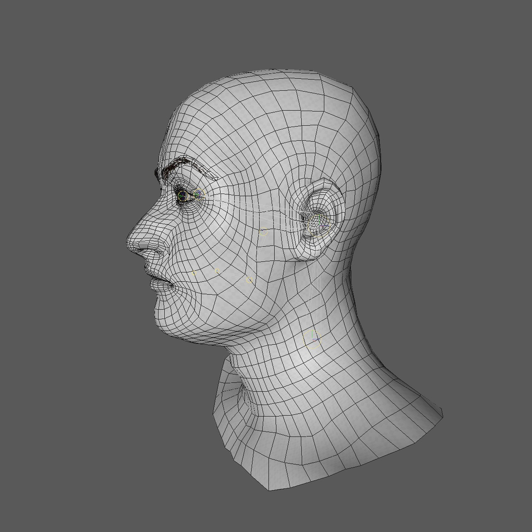 3d model of realistic head base mesh