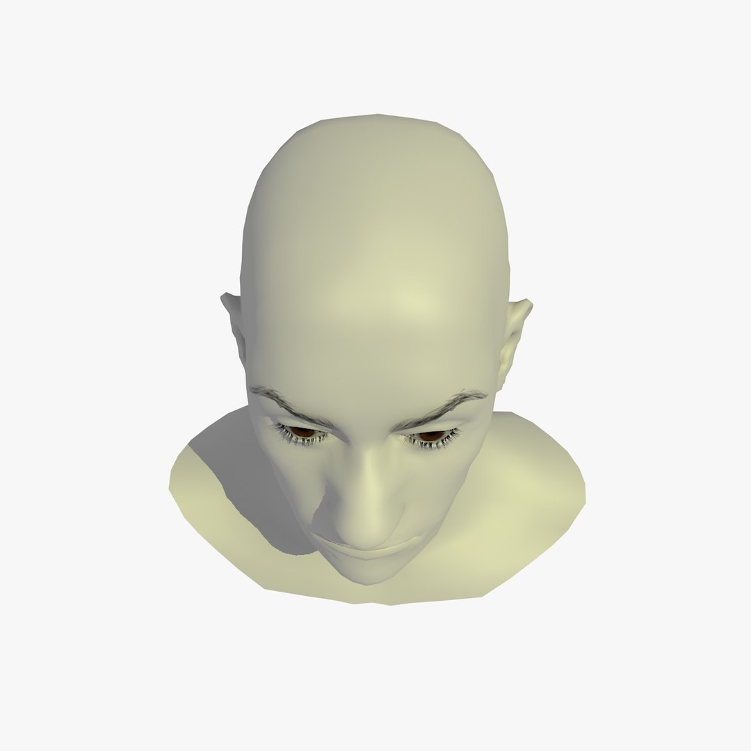 3d Model Of Realistic Head Base Mesh