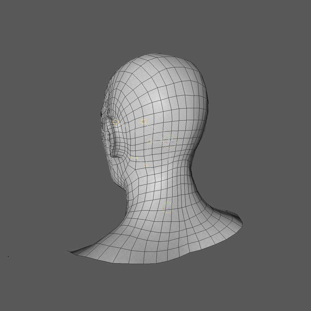 3d model of realistic head base mesh