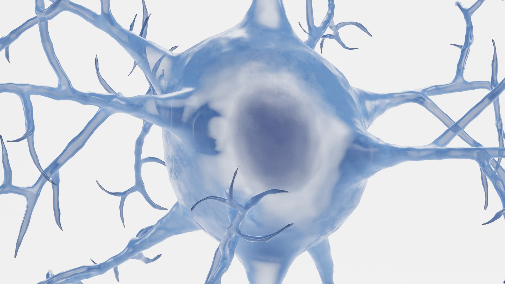 3D Model Neuron - TurboSquid 1769478
