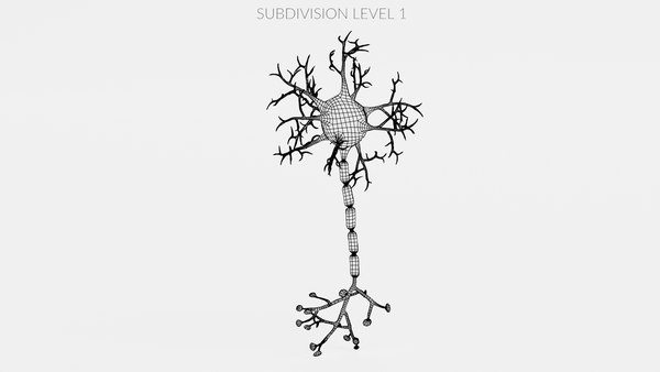 3D model Neuron - TurboSquid 1769478
