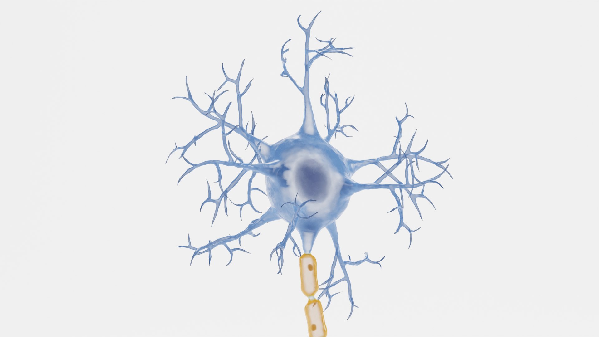 3D Model Neuron - TurboSquid 1769478