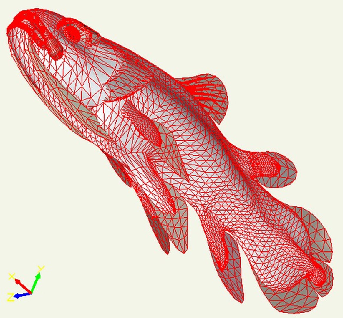 3ds coelacanth living fossil fish