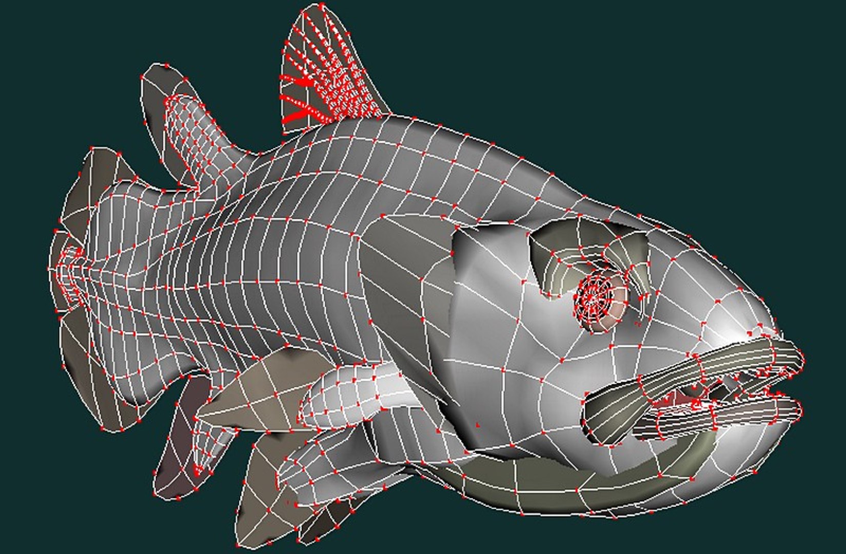 3ds coelacanth living fossil fish