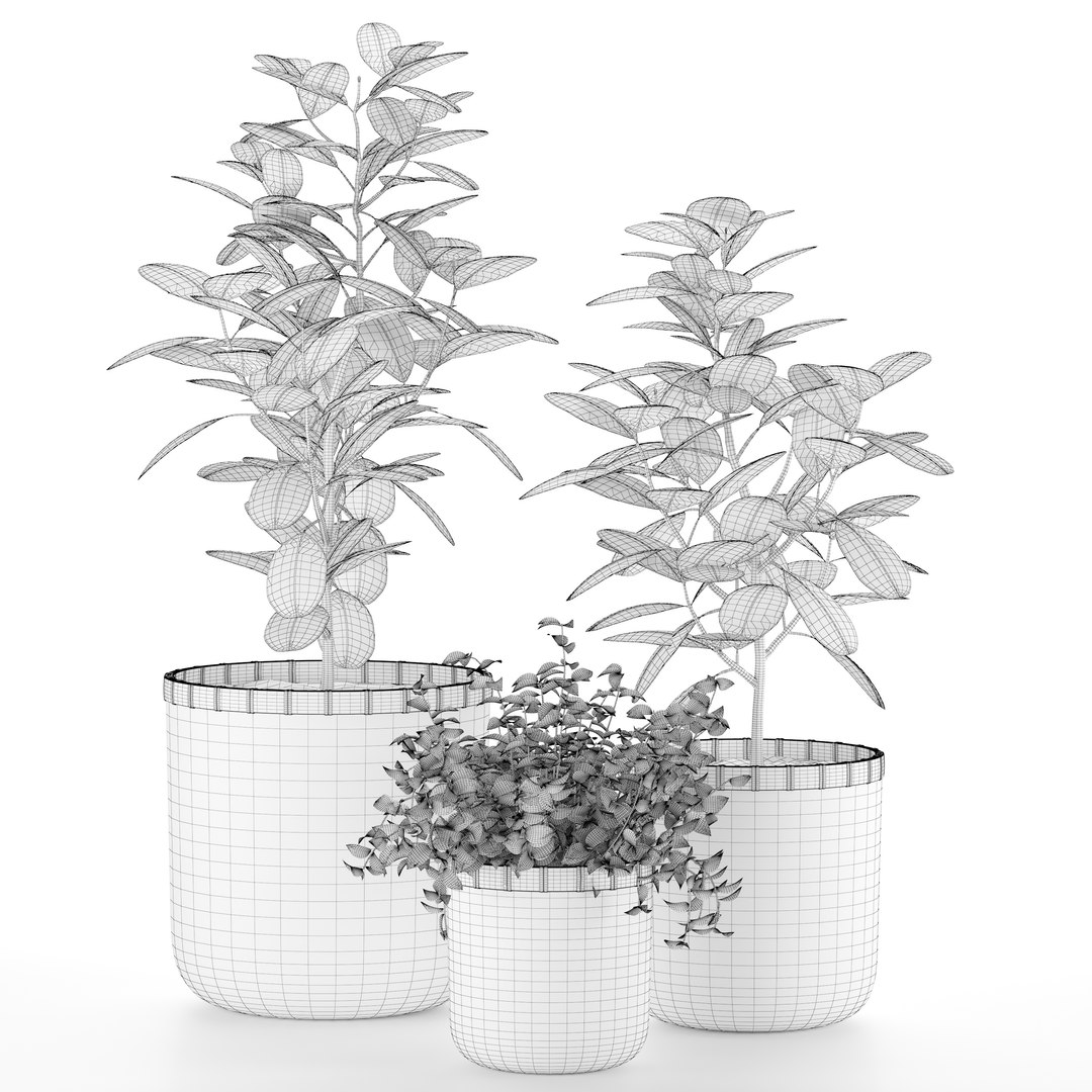 3D Indoor Potted Plants Model - TurboSquid 1962809
