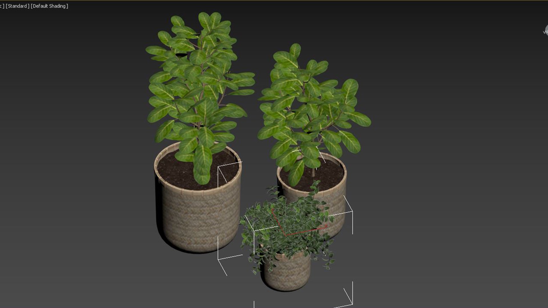 3D Indoor Potted Plants Model - TurboSquid 1962809