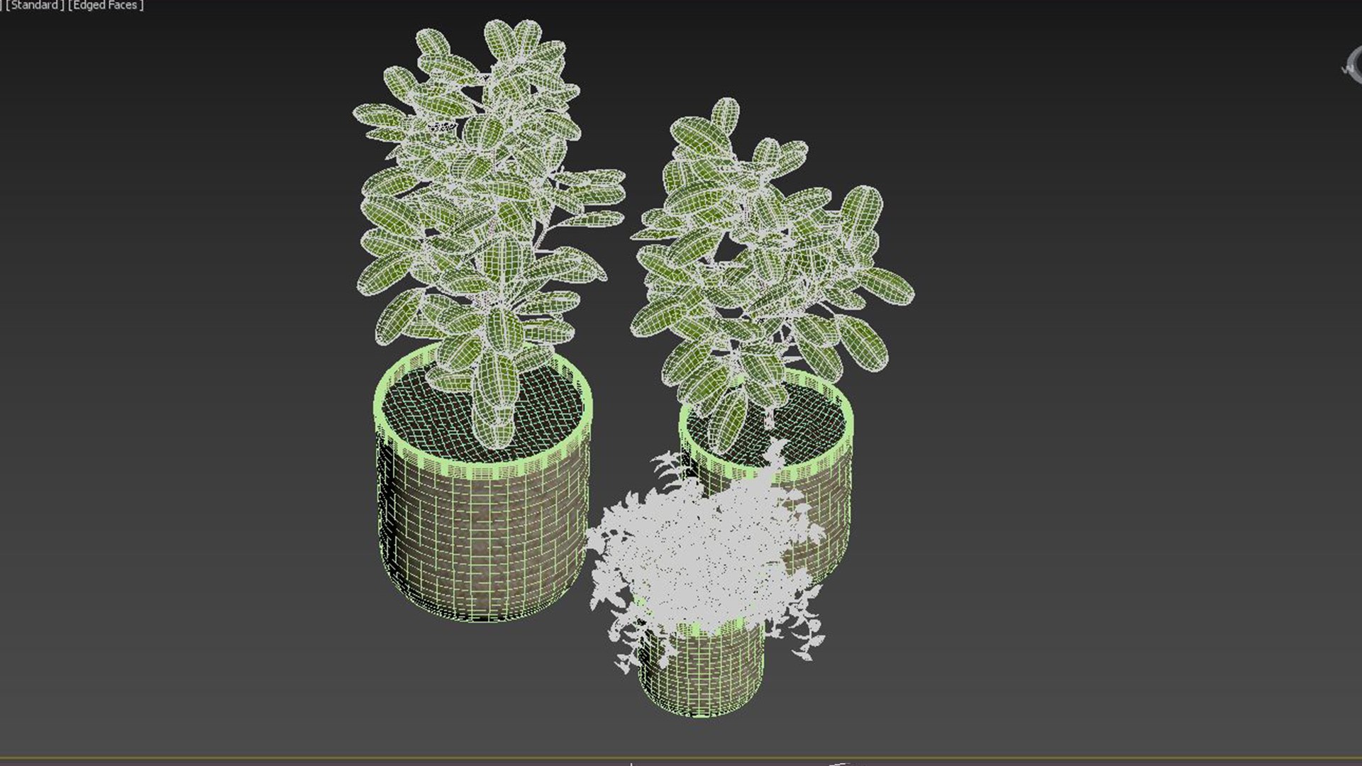 3D Indoor Potted Plants Model - TurboSquid 1962809