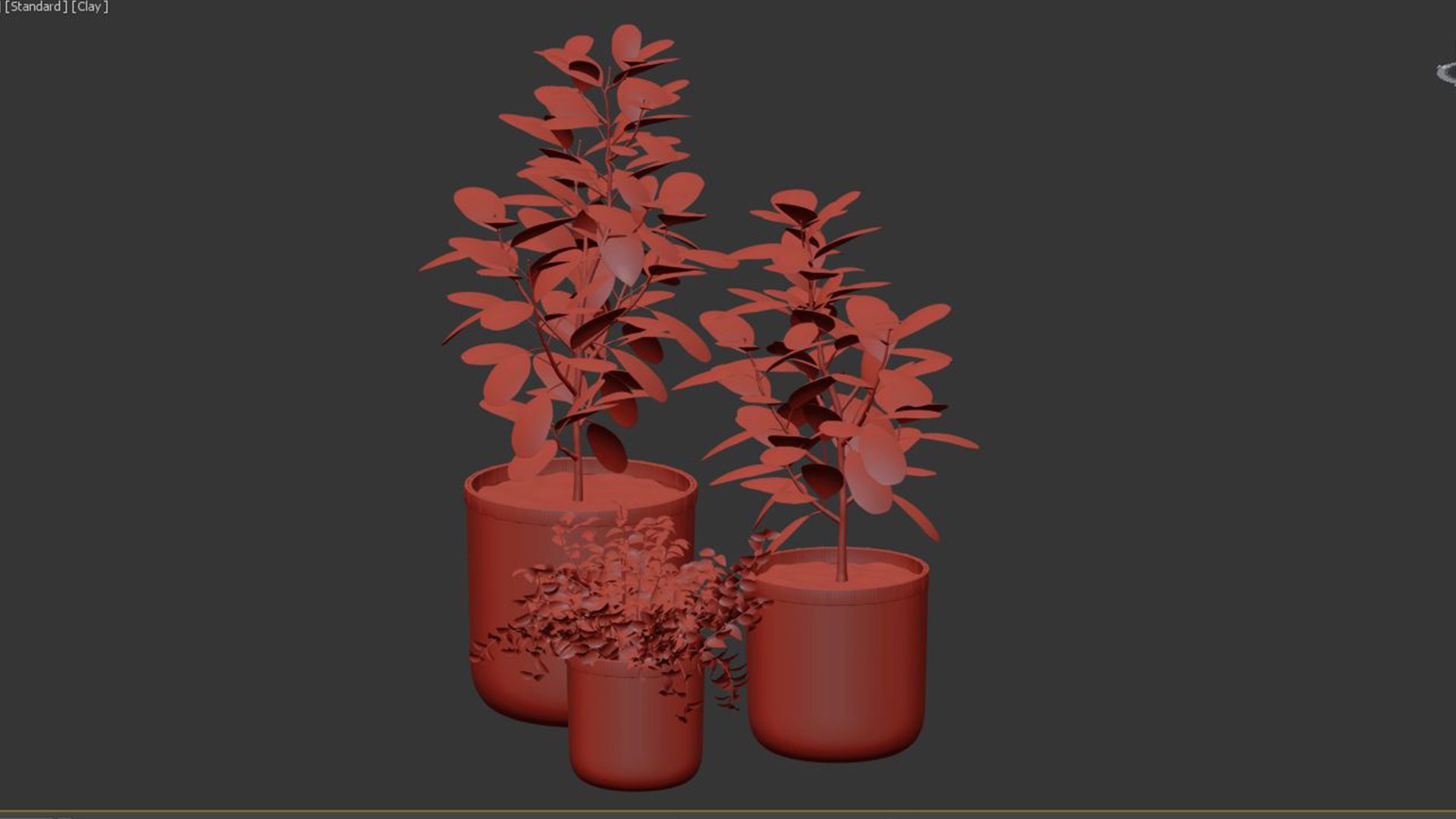 3D Indoor Potted Plants Model - TurboSquid 1962809