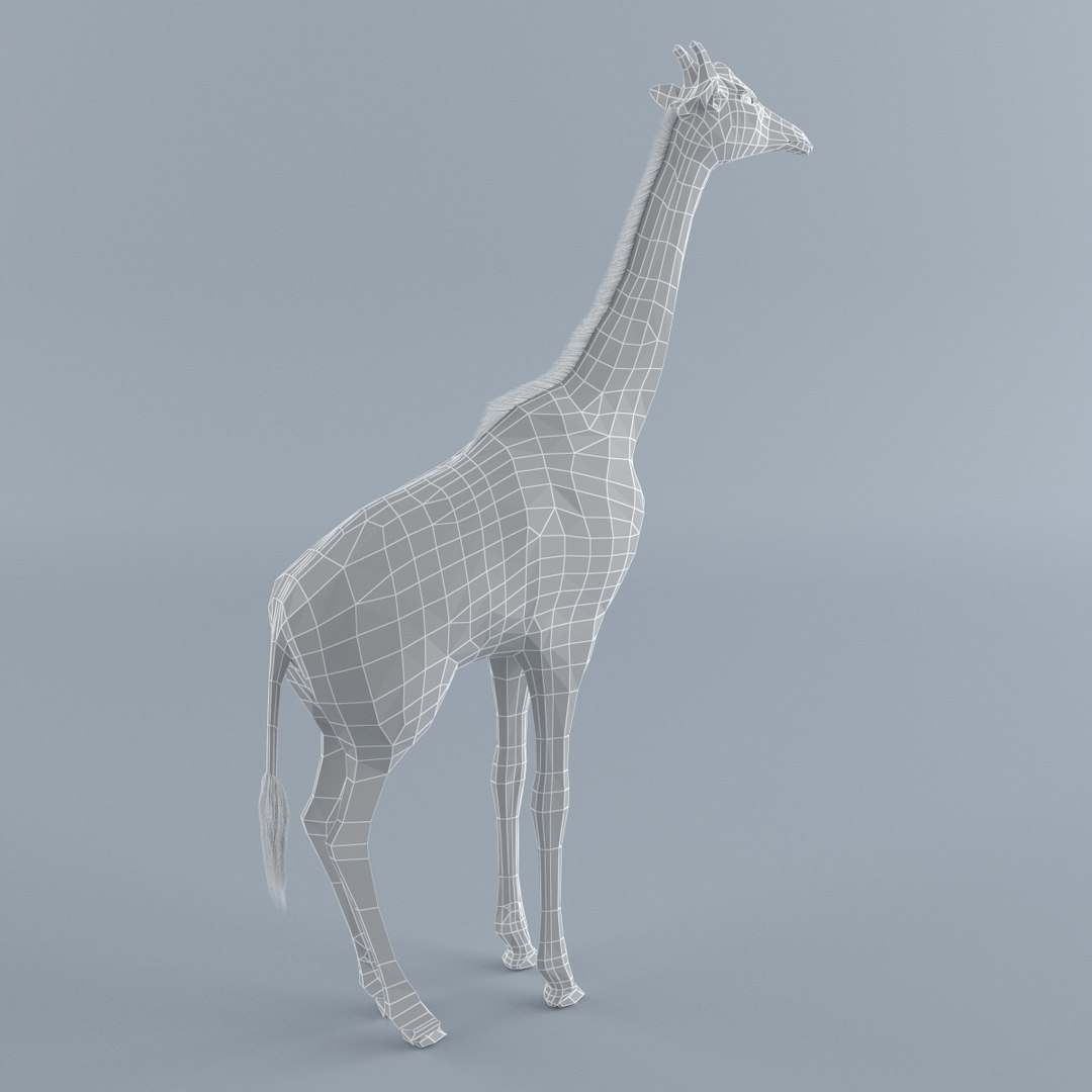 Giraffe 3d Model