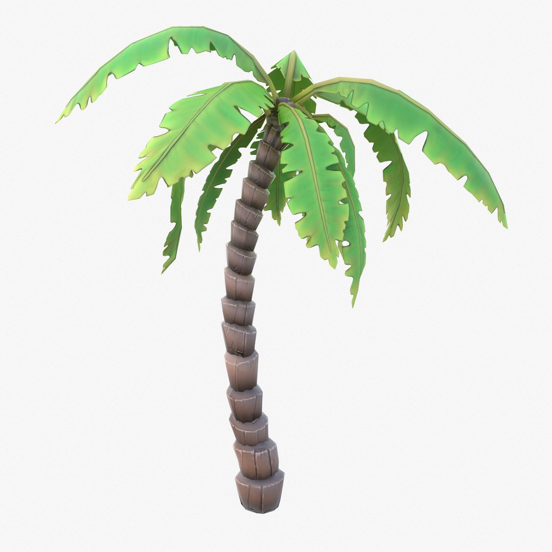 3D Model Cartoon Palm Tree - TurboSquid 1593125