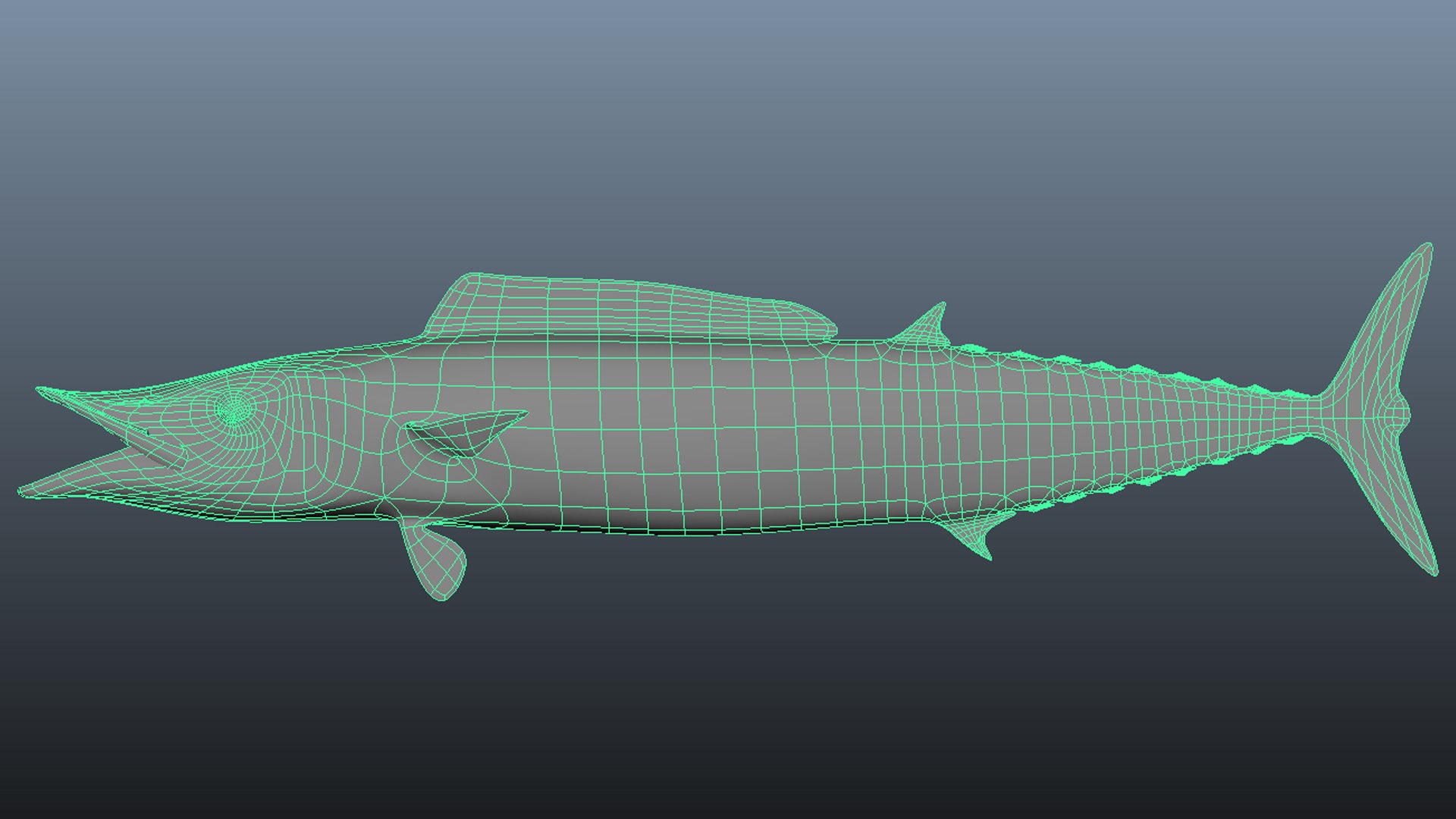 Saltwater Fish Collection 30 Model - TurboSquid 1837921