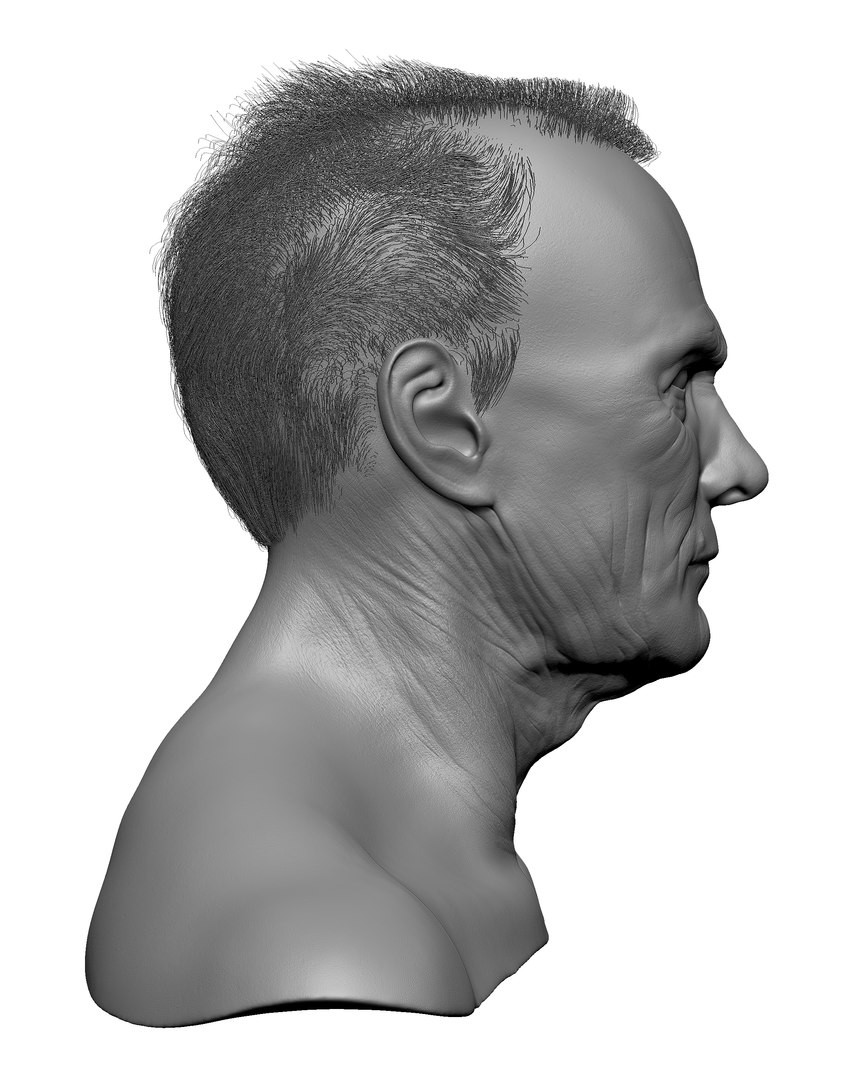 3D Portrait Clint Eastwood Model - TurboSquid 1185142