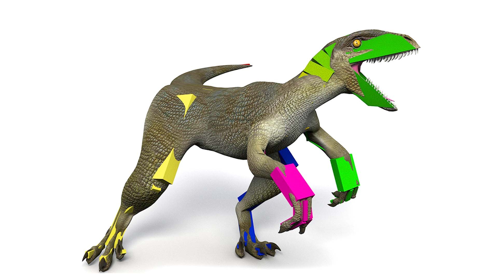 3D RAPTOR 3d - TurboSquid 2328945