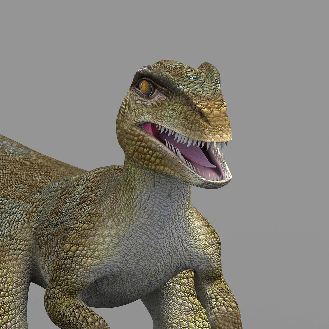 3D RAPTOR 3d - TurboSquid 2328945