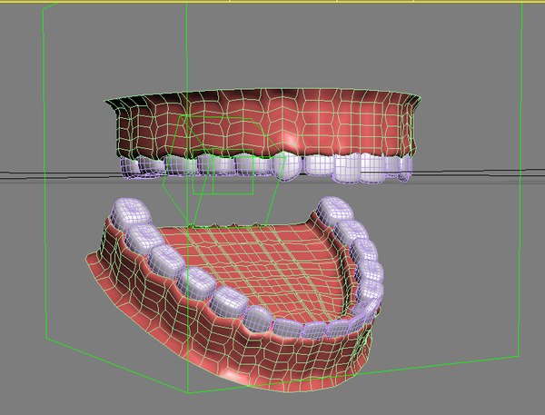 3d model human modeled teeth