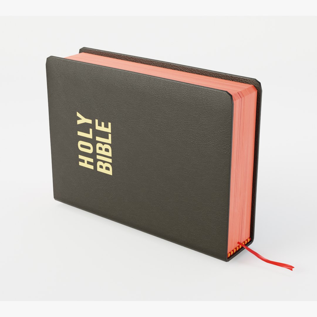 BIBLE RIGGED model - TurboSquid 2027819