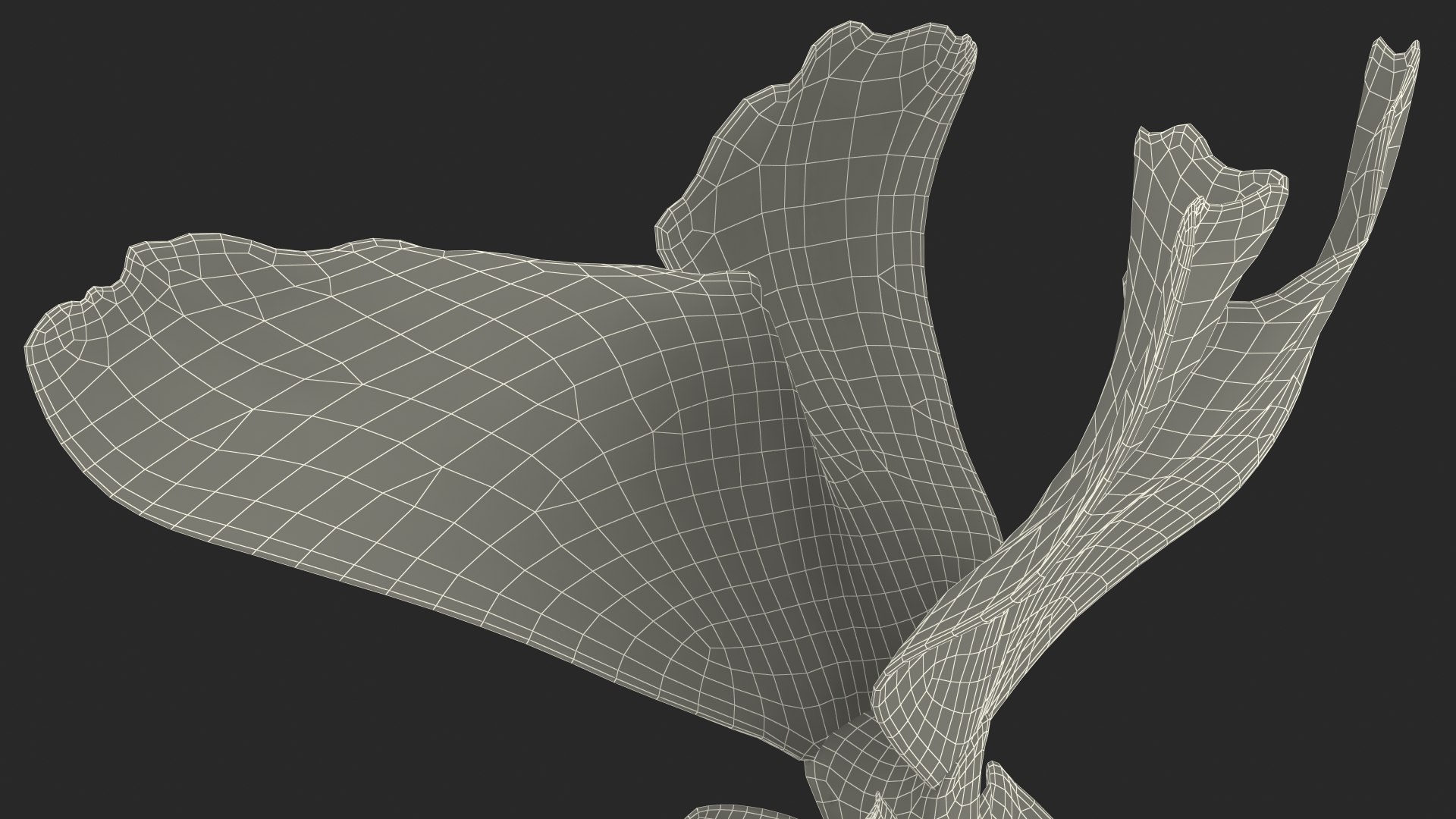 Orange Fancy Fantail Goldfish Swimming Pose 3D Model - TurboSquid 1765456