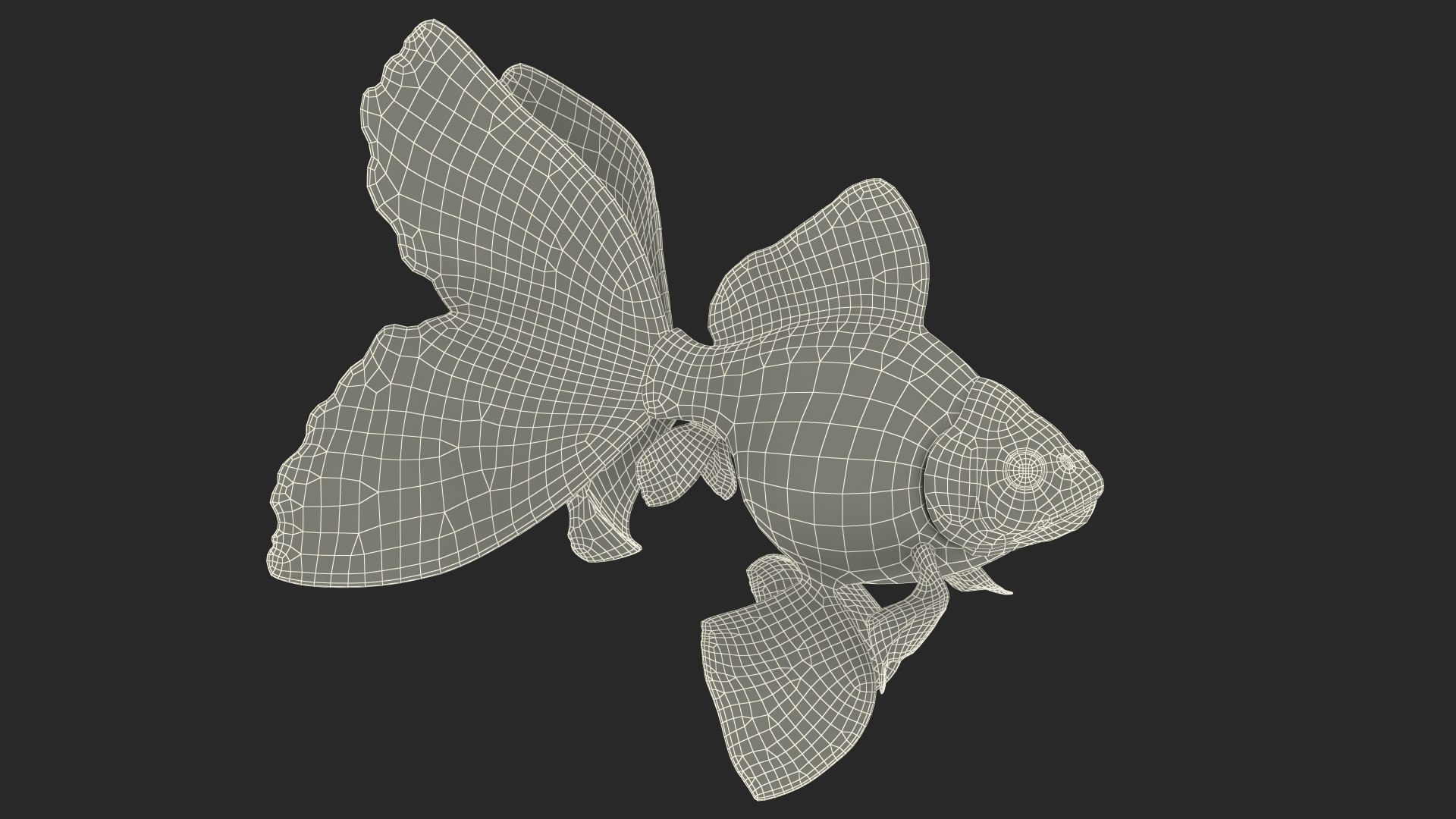 Orange Fancy Fantail Goldfish Swimming Pose 3D Model - TurboSquid 1765456