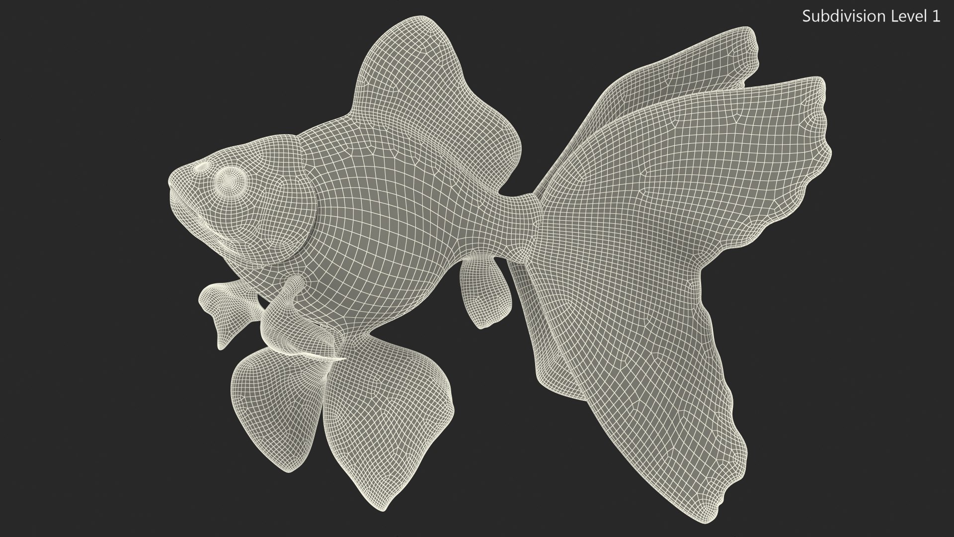 Orange Fancy Fantail Goldfish Swimming Pose 3D model - TurboSquid 1765456