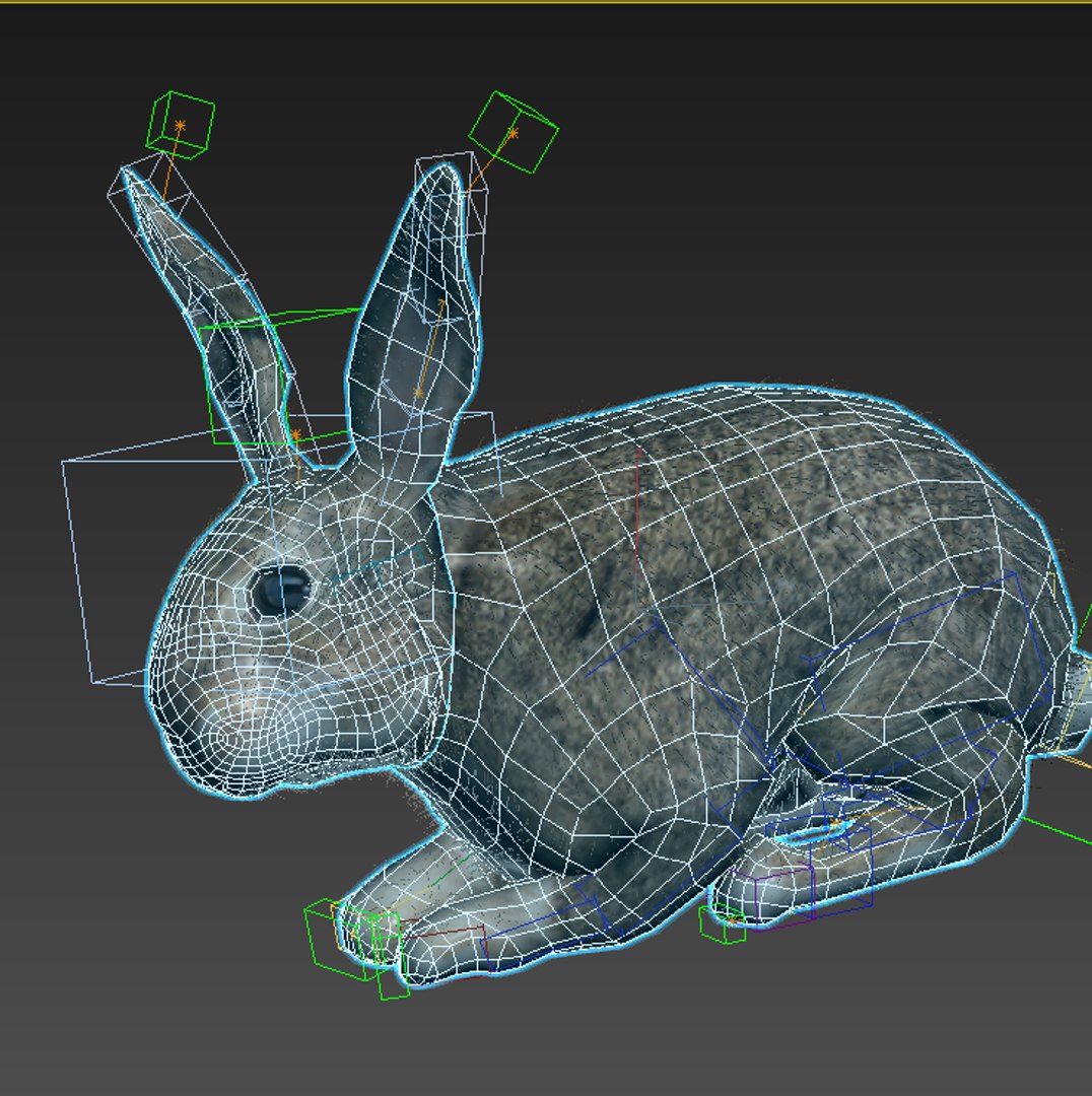 3d Model Rabbit Fur