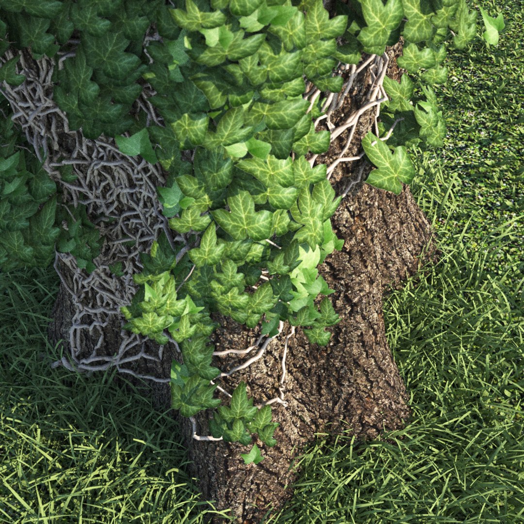 Tree Trunk Covered Ivy 3d Model