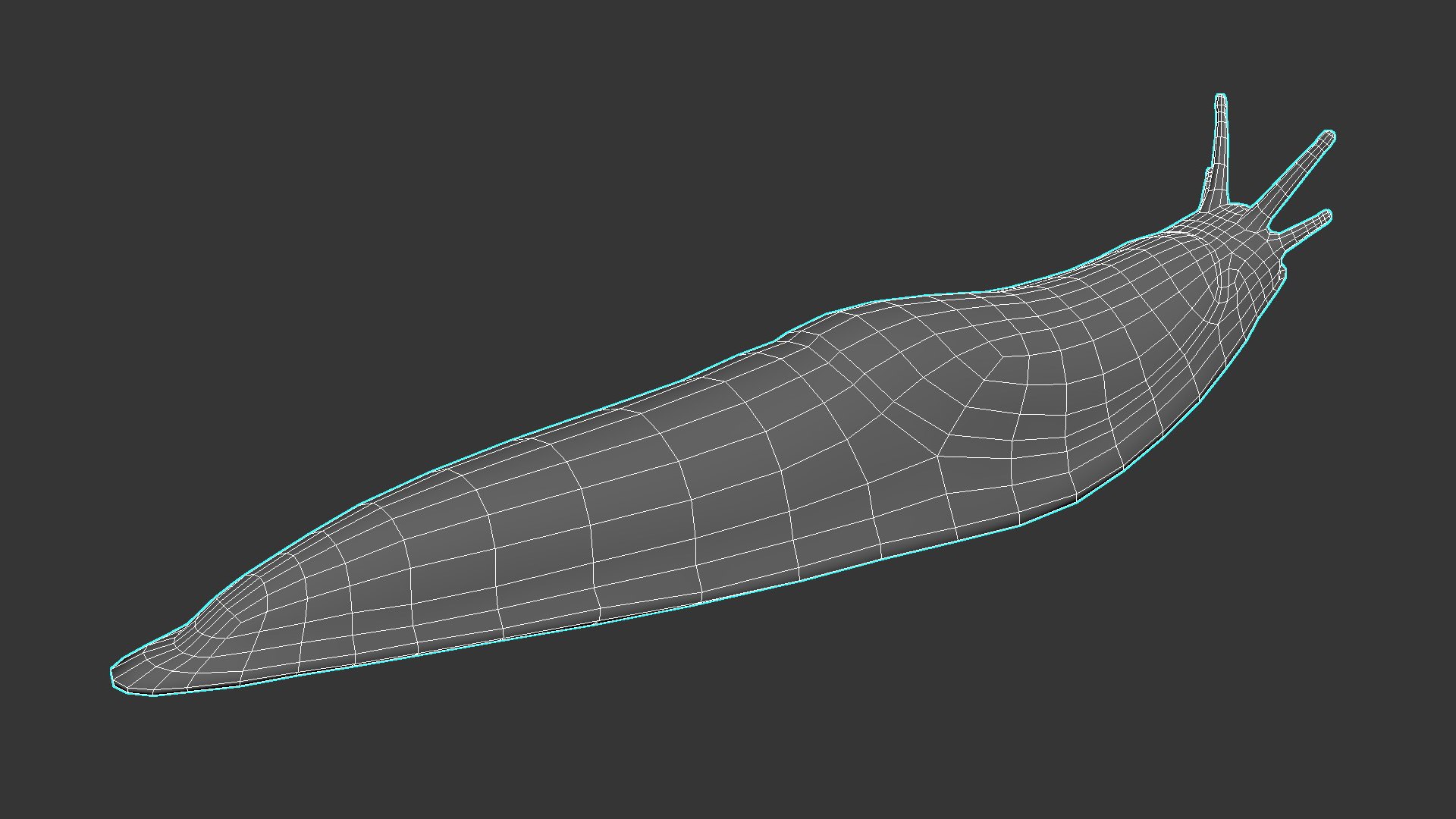 Banana Slug 3D Model - TurboSquid 2044522