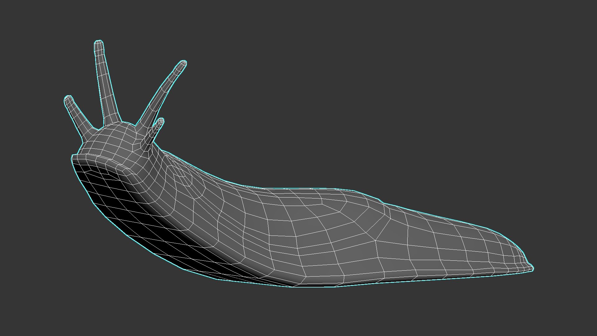 Banana Slug 3D Model - TurboSquid 2044522