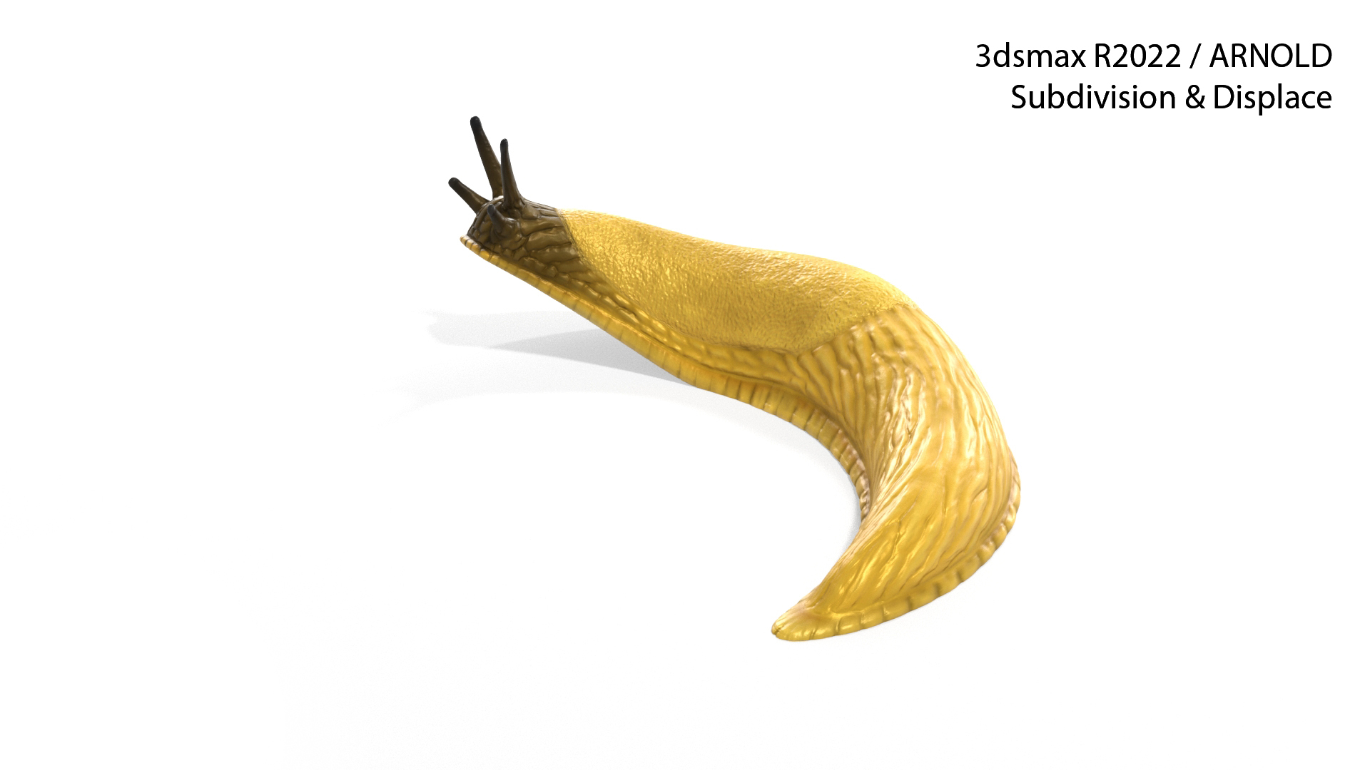 Banana Slug 3D Model - TurboSquid 2044522
