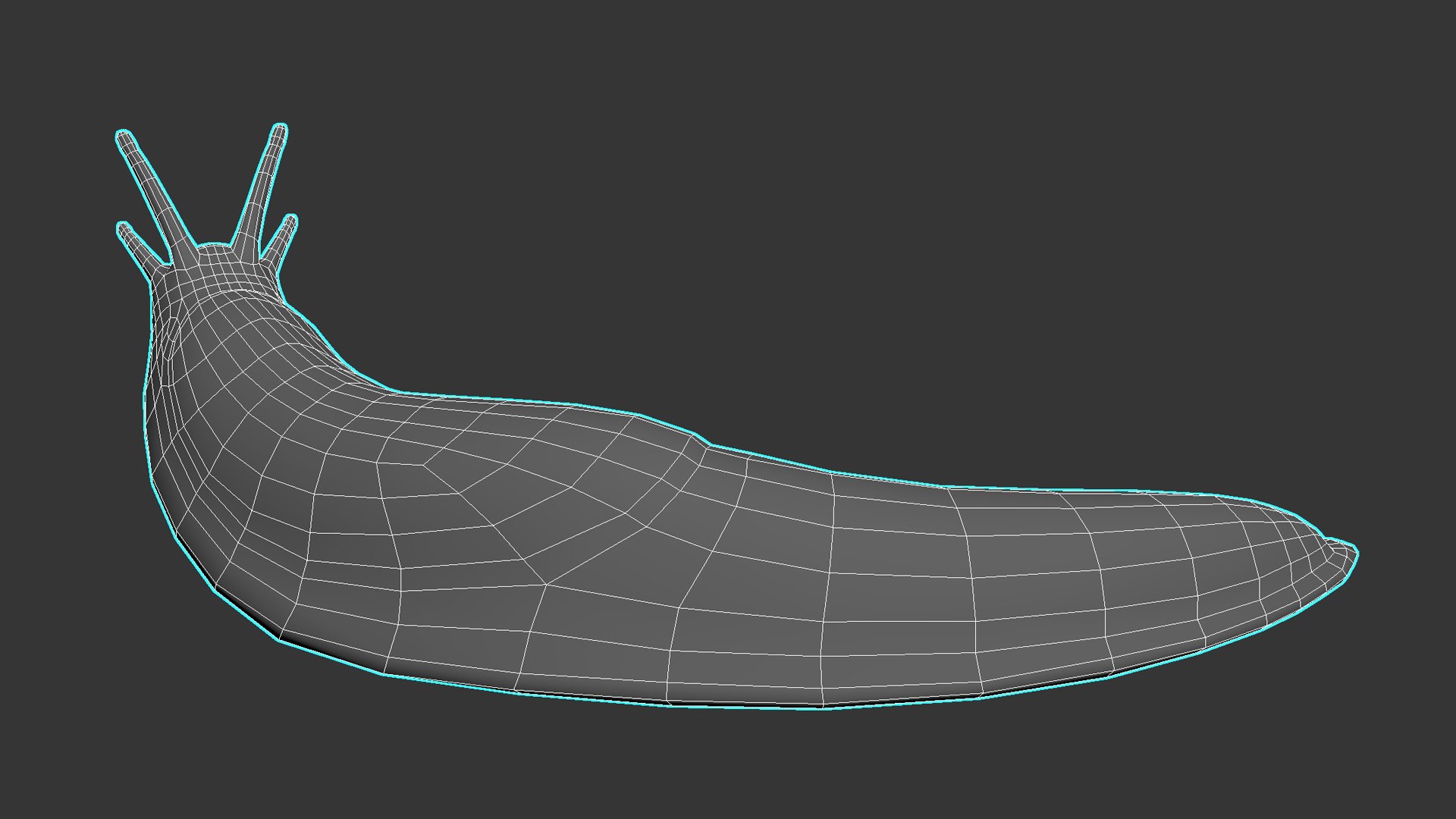 Banana Slug 3D Model - TurboSquid 2044522