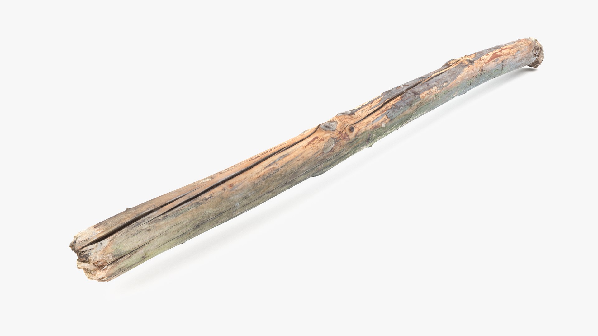 Sculpt Photorealistic 3D Model - TurboSquid 1472832