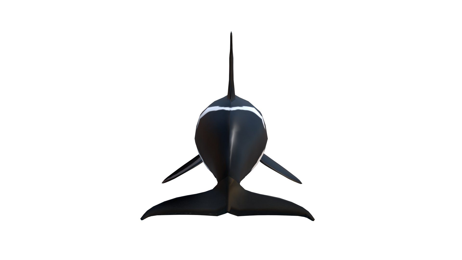 3D Orca Killer Whale 3D Model - TurboSquid 2310659