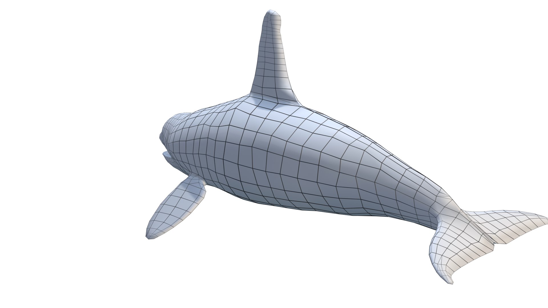 3D Orca Killer Whale 3D Model - TurboSquid 2310659
